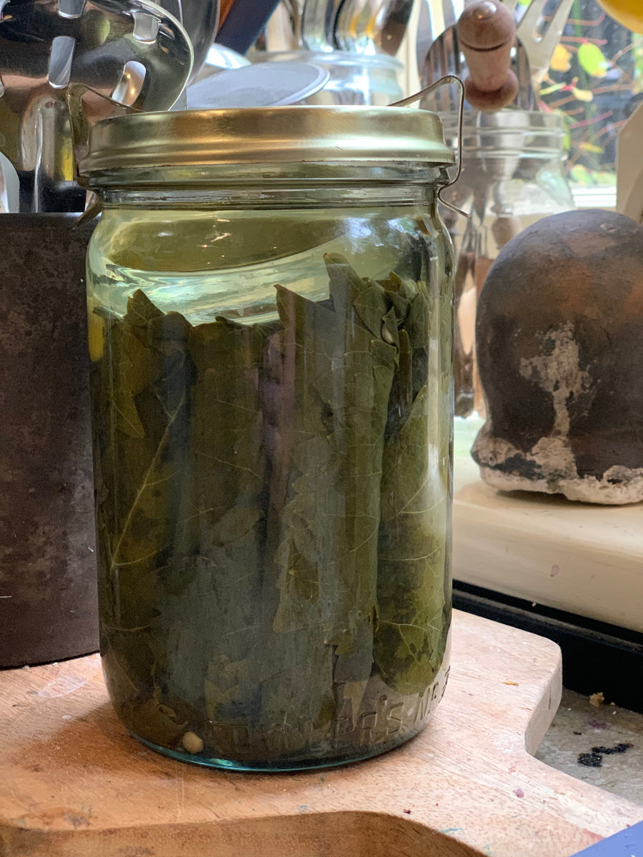 Using Preserved Vine Leaves